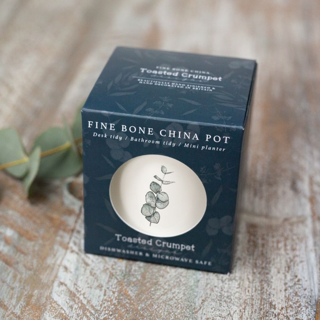 Eucalyptus Fine Bone China Pot in a Gift Box - Default Title | Zoars ...